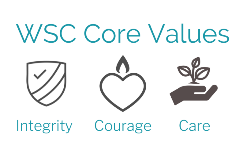 Core Values - The DNA of a Company - Warm Springs Consulting