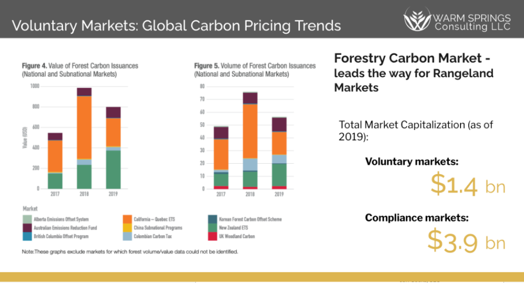 Nevada Canyon: Carbon Credit Feasibility Study - Warm Springs Consulting